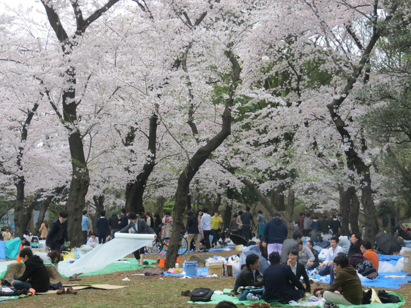 Festivals and events – Japan by Rail